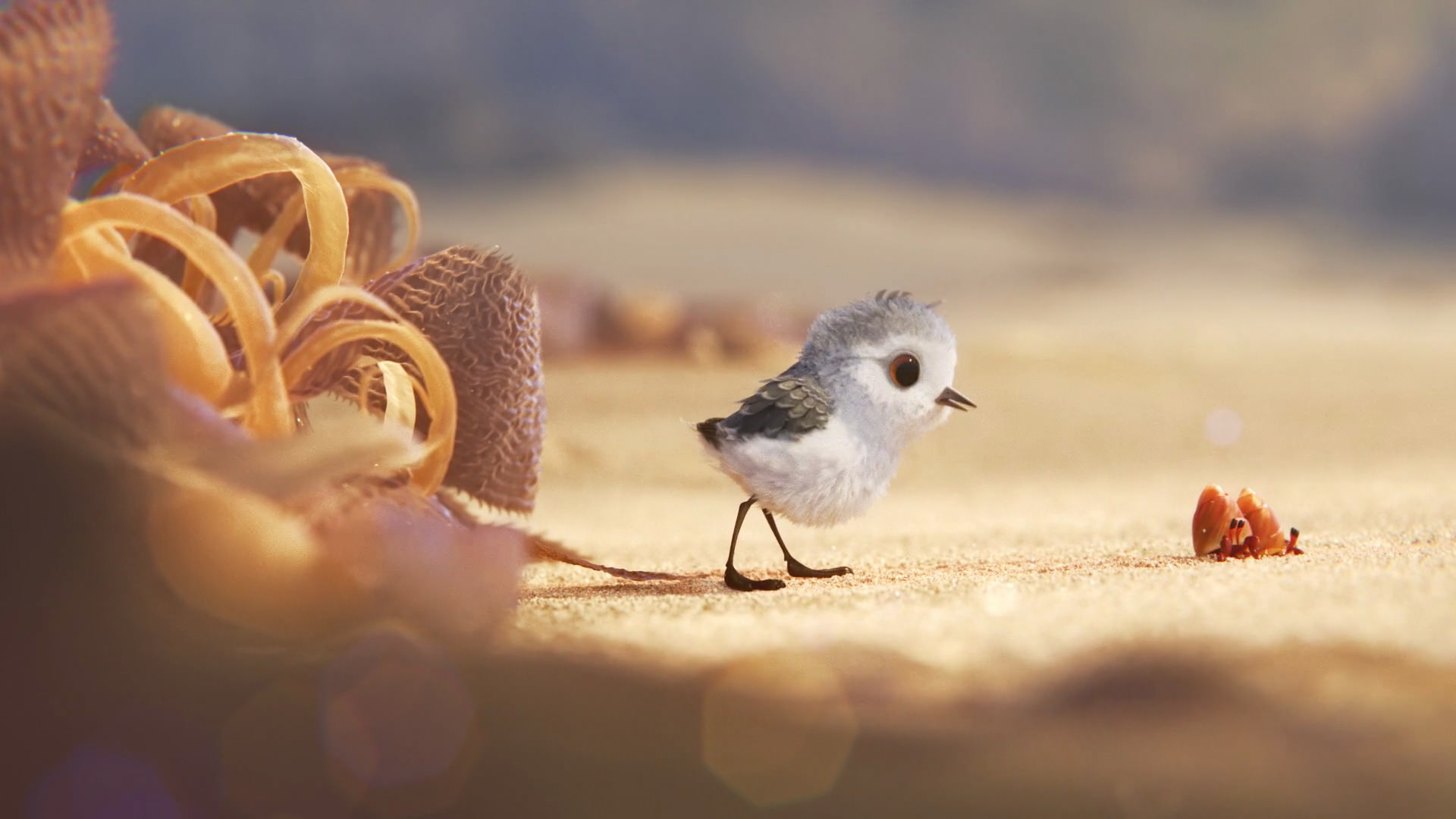 Piper (2016) - Animation Screencaps.com