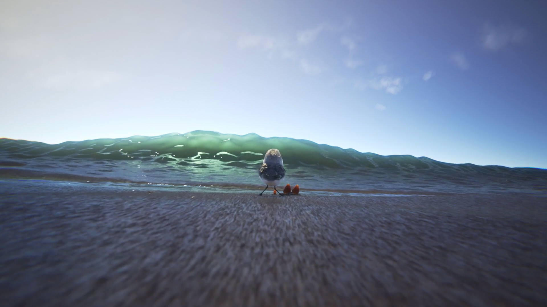 Piper (2016) - Animation Screencaps.com