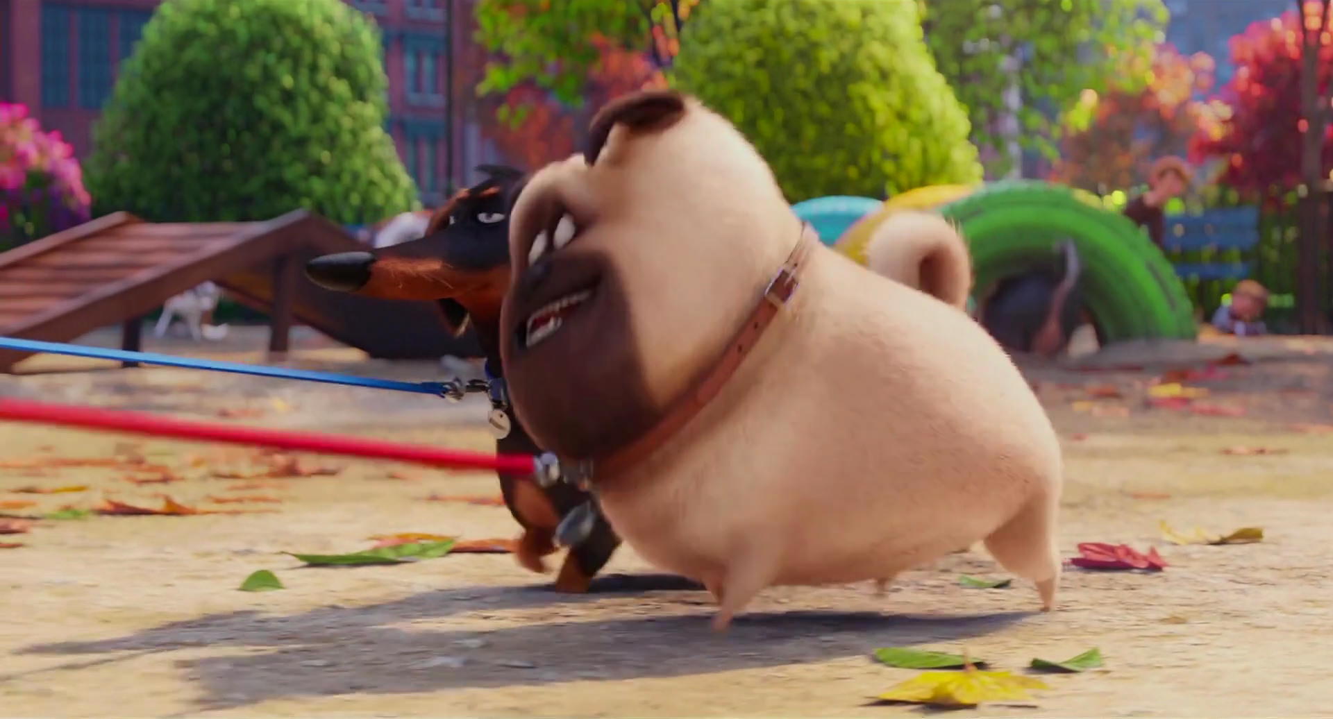 The Secret Life of Pets (2016) - Animation Screencaps.com