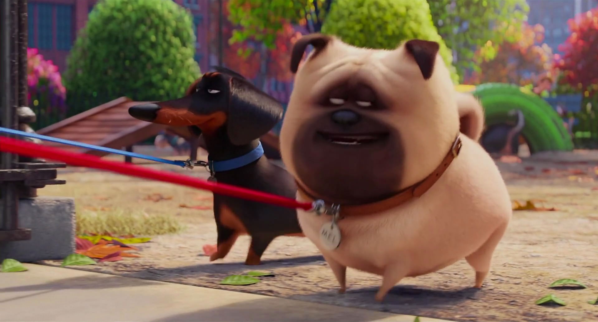The Secret Life of Pets (2016) - Animation Screencaps.com