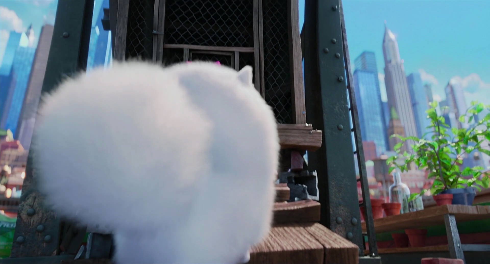 The Secret Life of Pets (2016) - Animation Screencaps.com