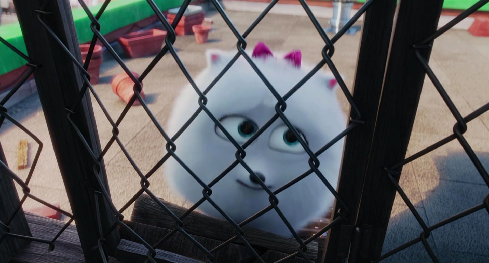 The Secret Life of Pets (2016) - Animation Screencaps.com
