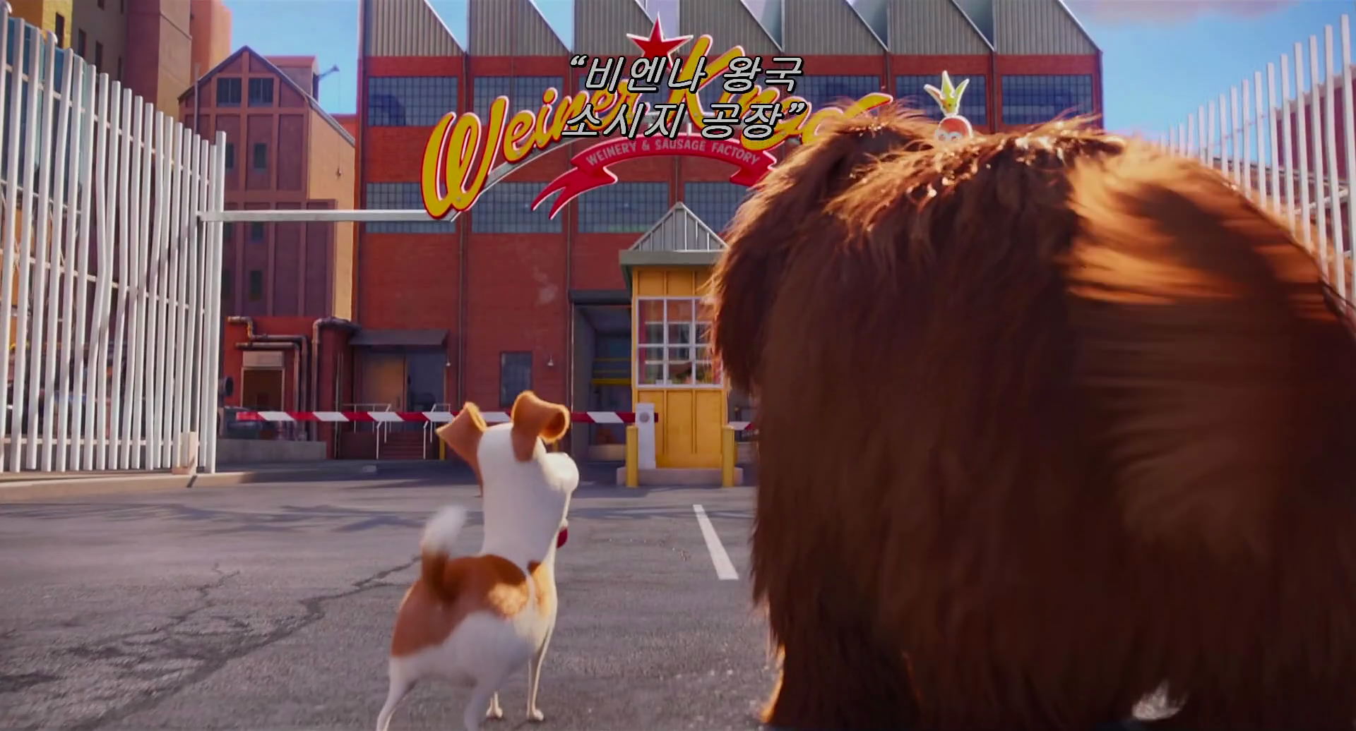 The Secret Life of Pets (2016) - Animation Screencaps.com