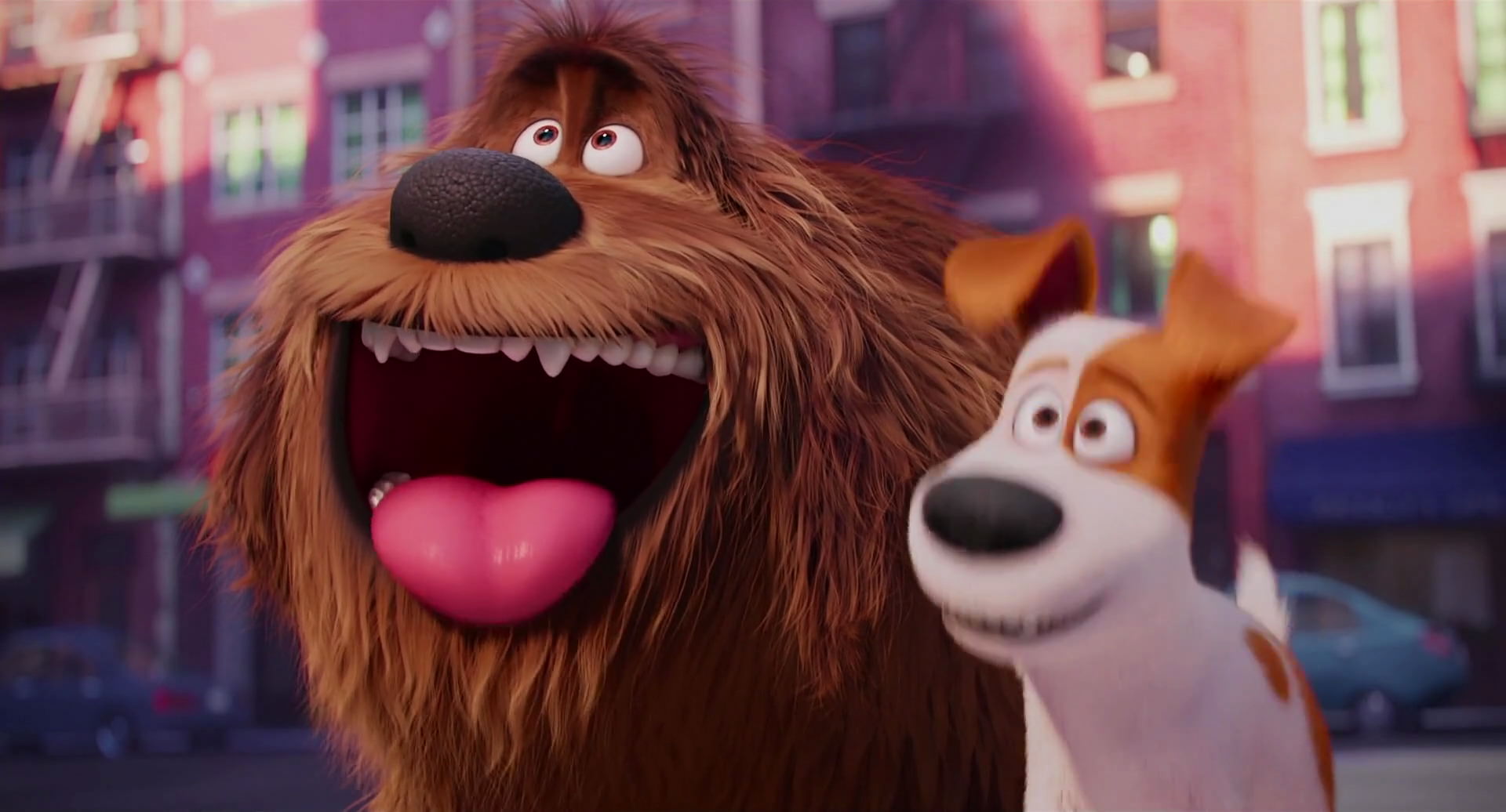 The Secret Life of Pets (2016) - Animation Screencaps.com
