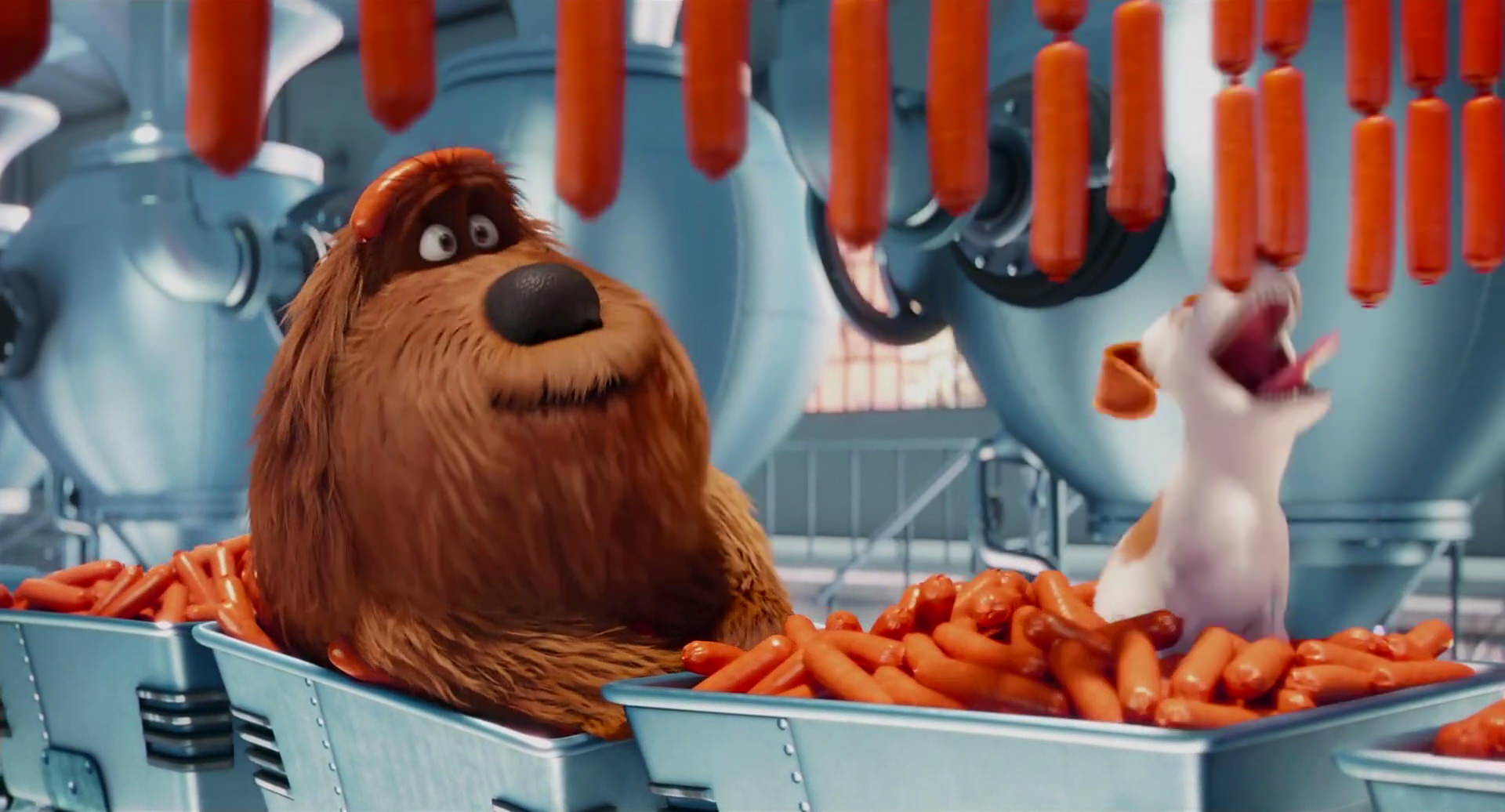 The Secret Life of Pets (2016) - Animation Screencaps.com