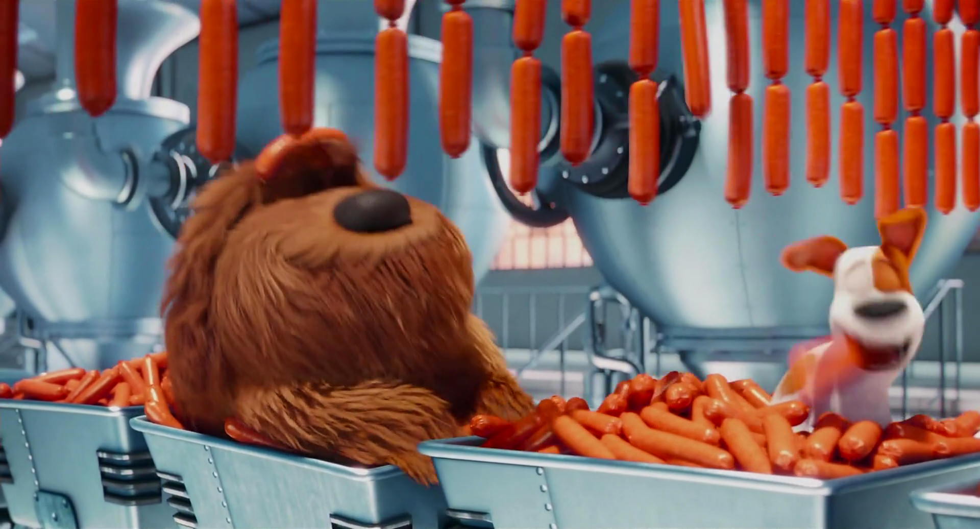 The Secret Life of Pets (2016) - Animation Screencaps.com