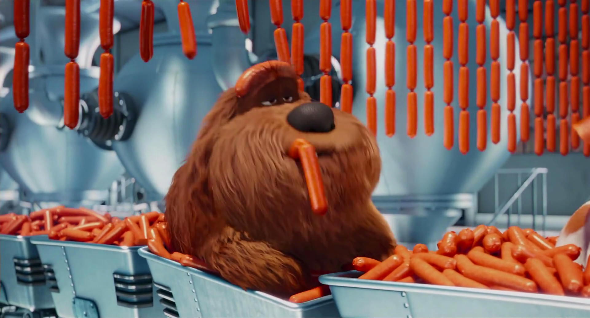 The Secret Life of Pets (2016) - Animation Screencaps.com