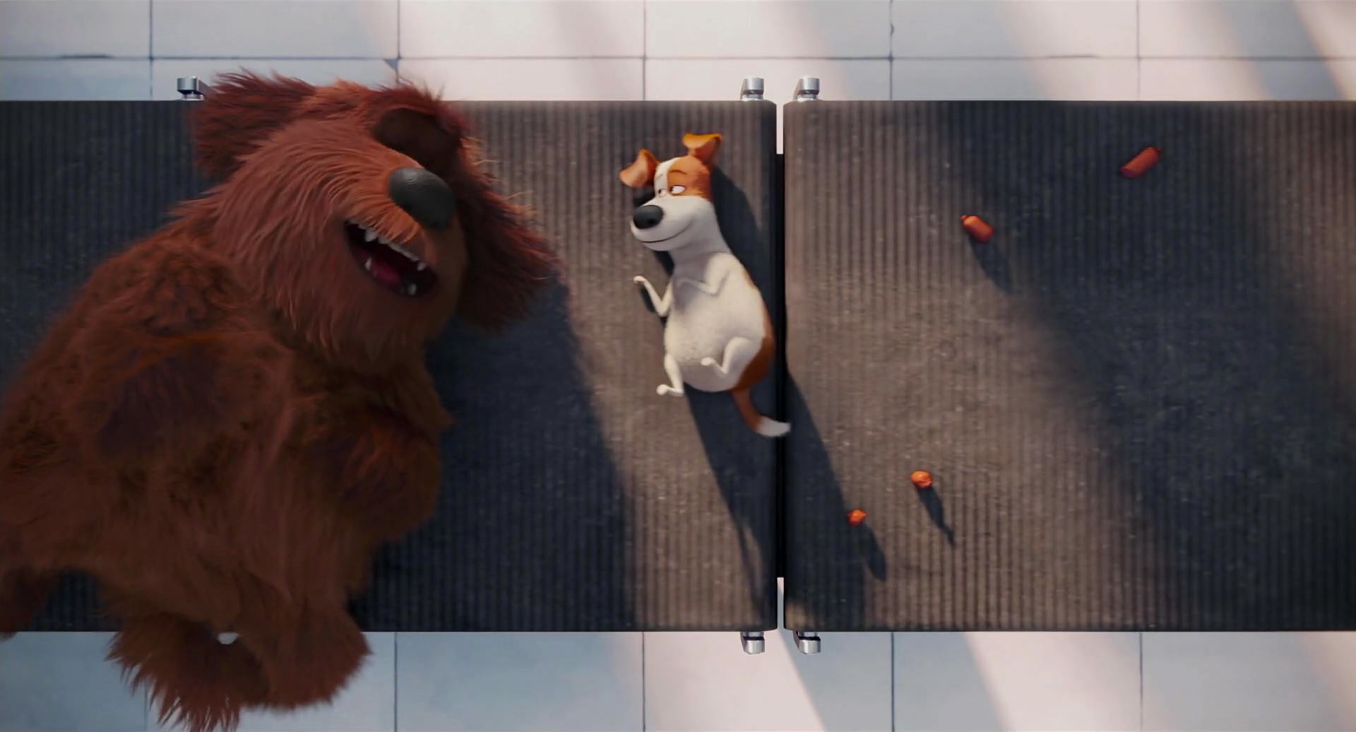 The Secret Life of Pets (2016) - Animation Screencaps.com