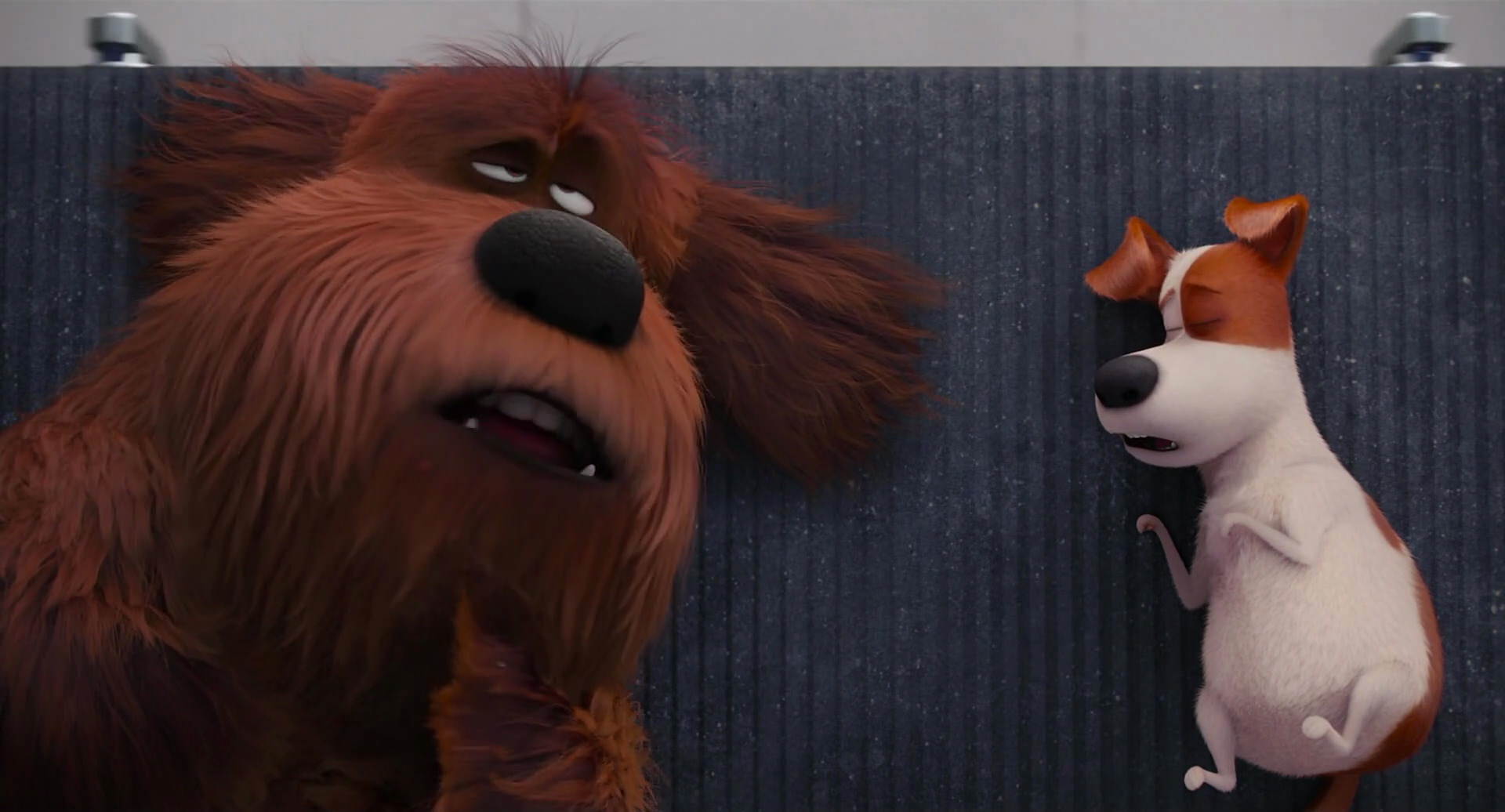 The Secret Life of Pets (2016) - Animation Screencaps.com