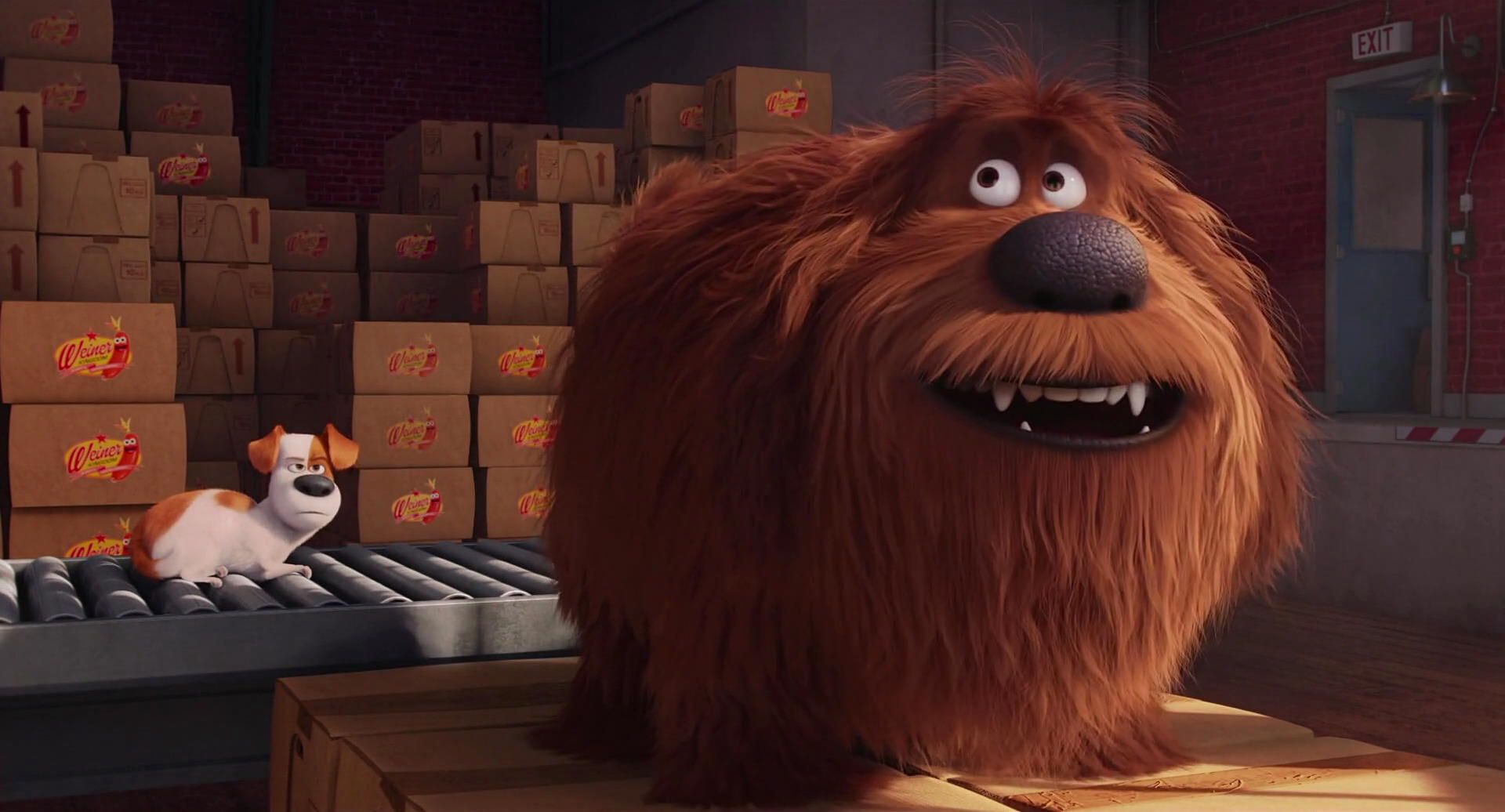 The Secret Life of Pets (2016) - Animation Screencaps.com