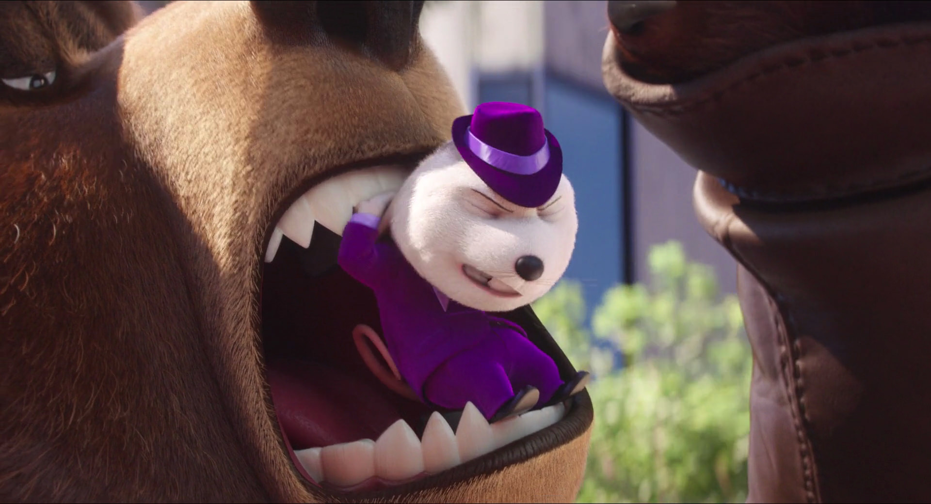 Sing (2016) - Animation Screencaps.com