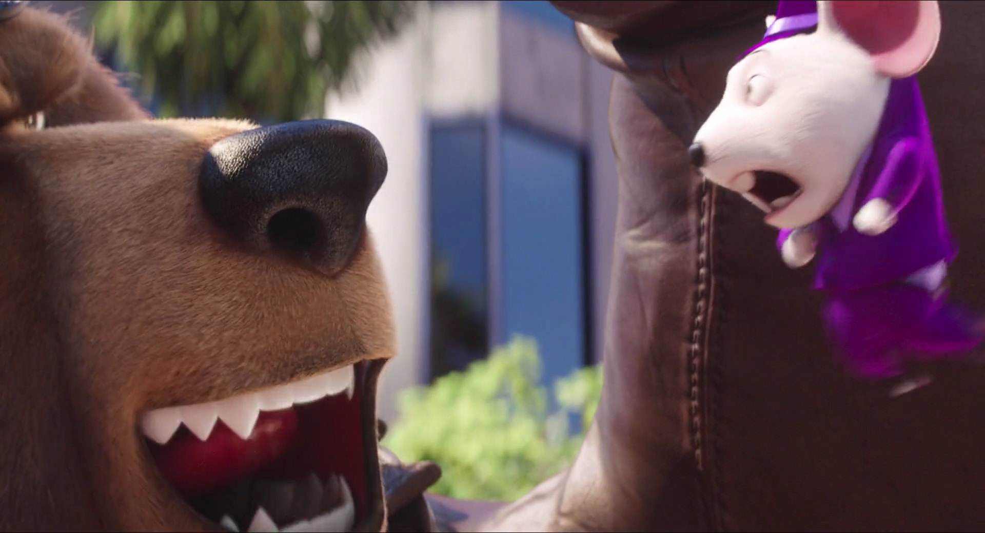 Sing (2016) - Animation Screencaps.com