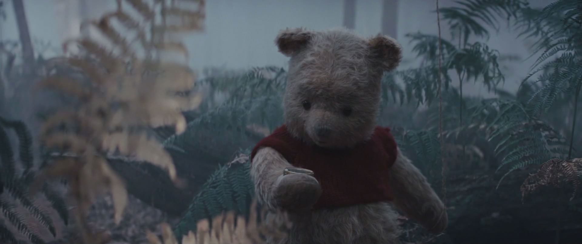 Christopher Robin (2018) - Animation Screencaps.com