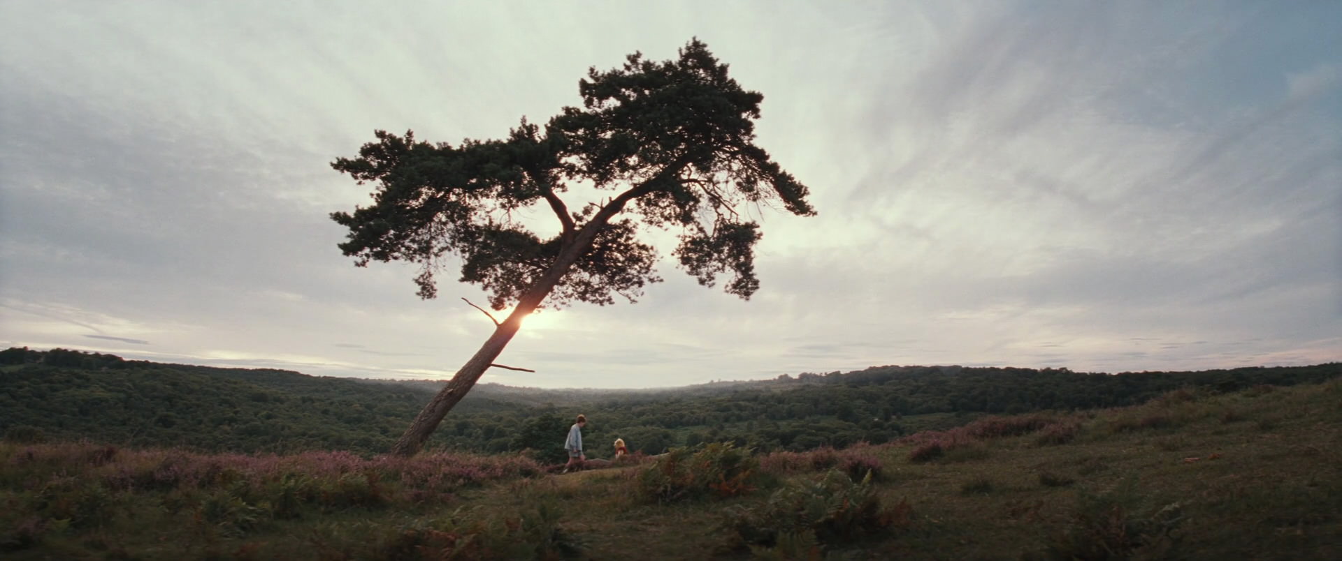 Christopher Robin (2018) - Animation Screencaps.com