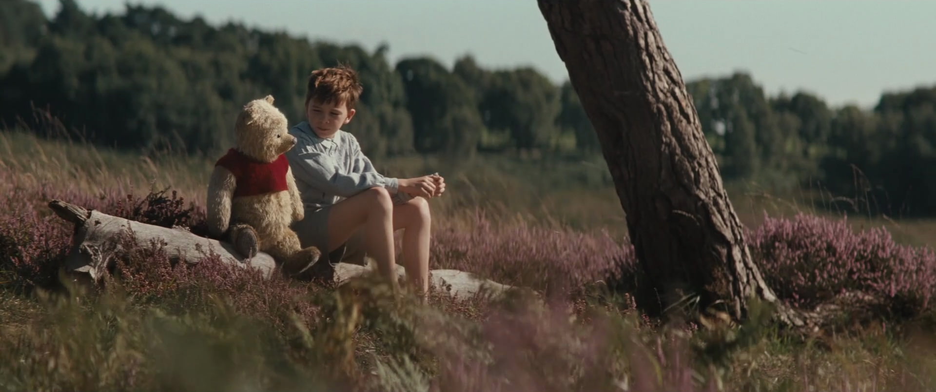 Christopher Robin (2018) - Animation Screencaps.com