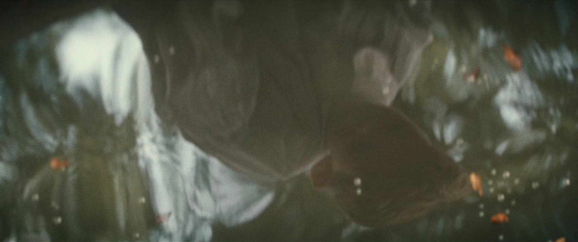 Christopher Robin (2018) - Animation Screencaps.com