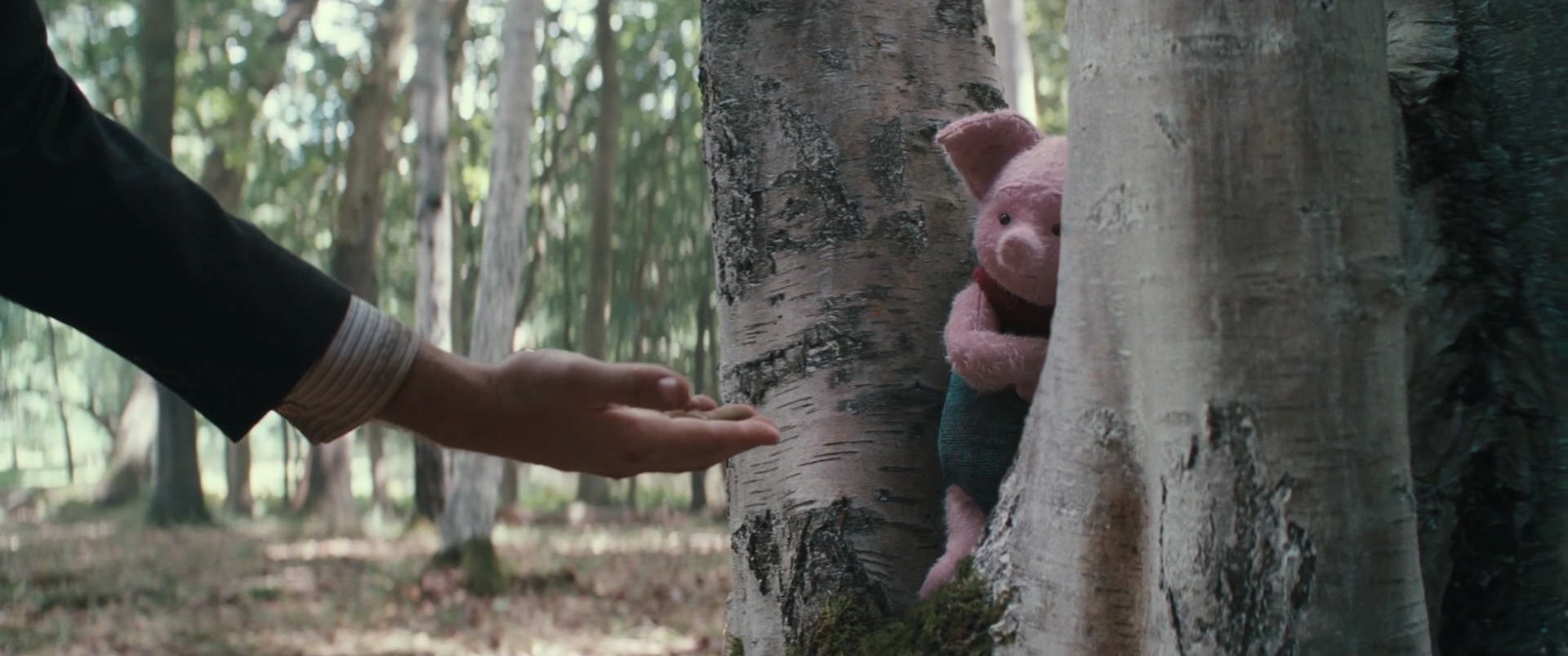 Christopher Robin (2018) - Animation Screencaps.com