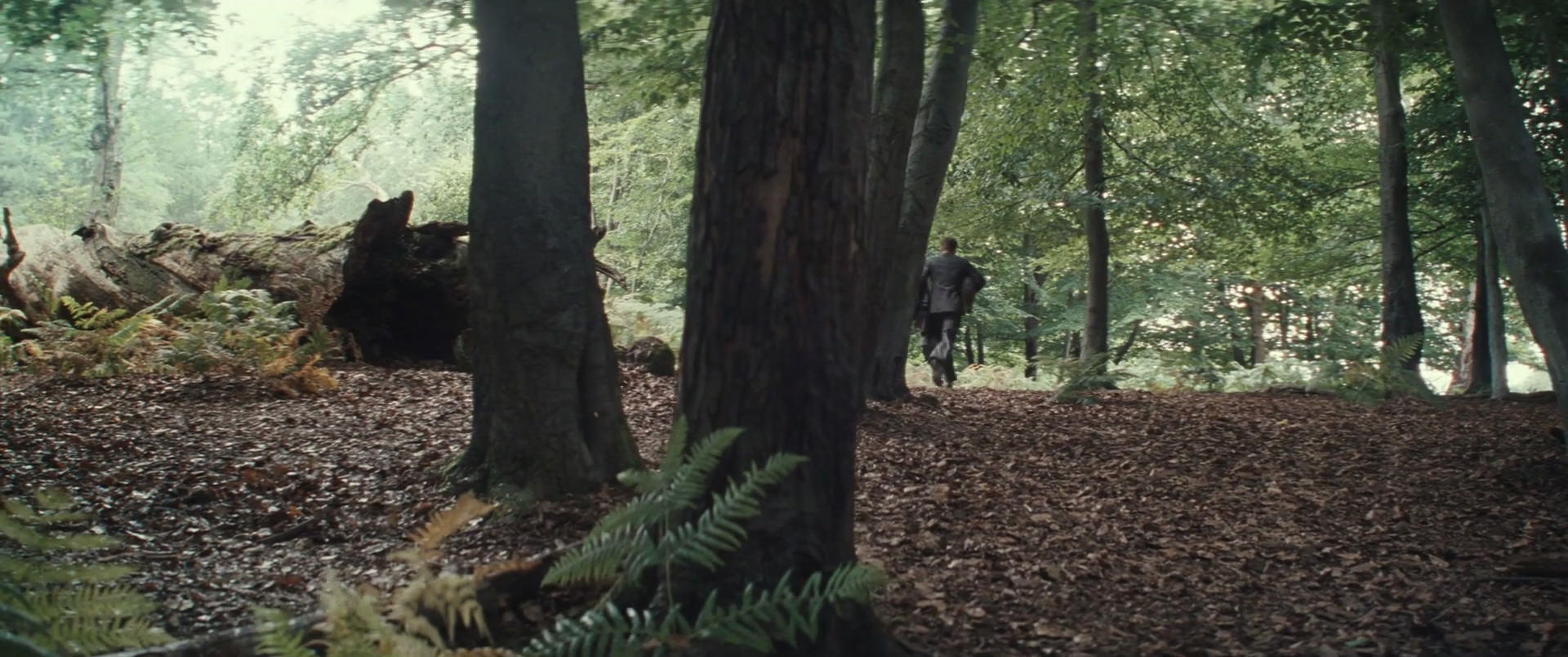 Christopher Robin (2018) - Animation Screencaps.com