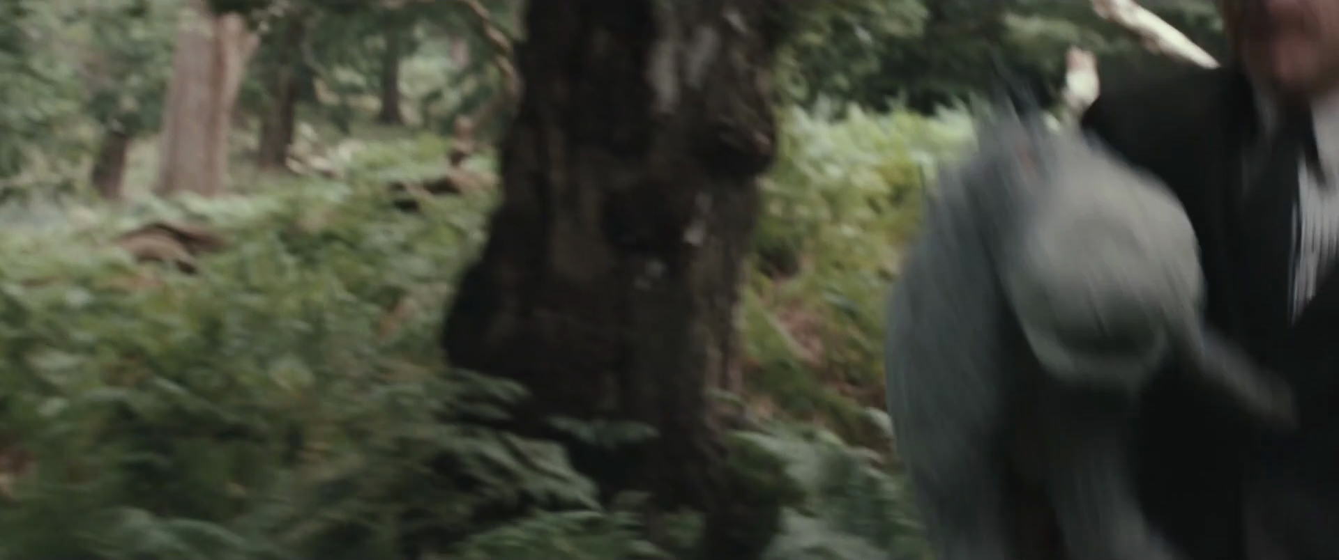 Christopher Robin (2018) - Animation Screencaps.com