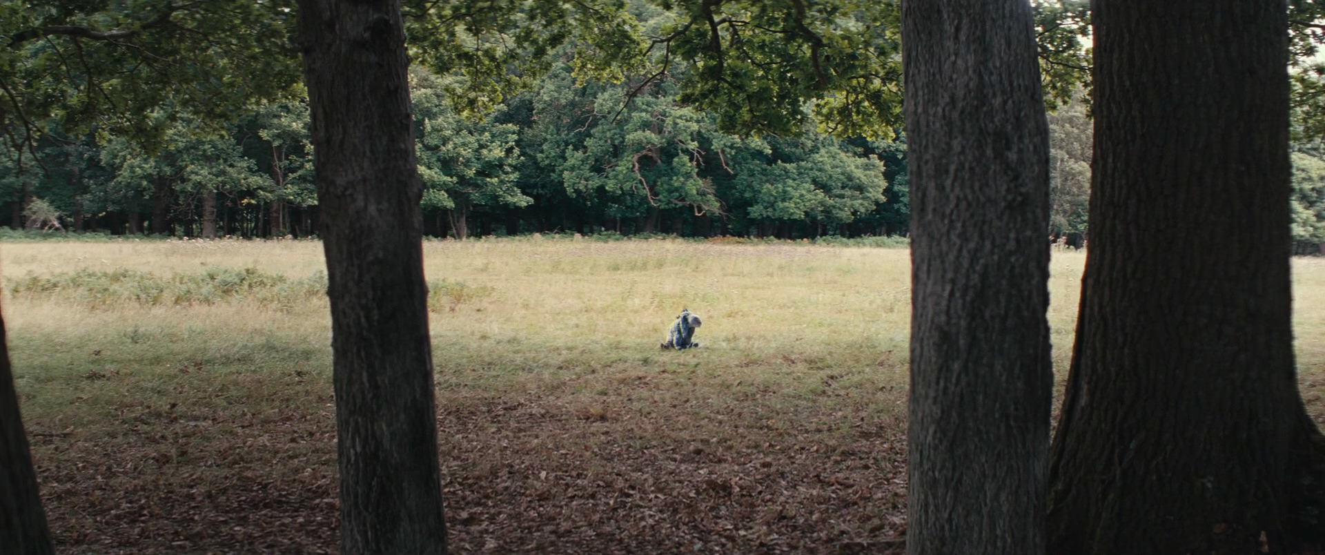 Christopher Robin (2018) - Animation Screencaps.com