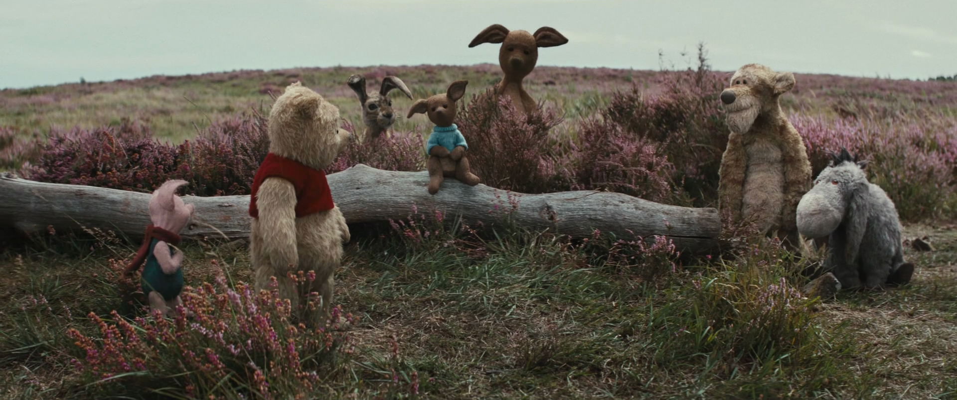 Christopher Robin (2018) - Animation Screencaps.com