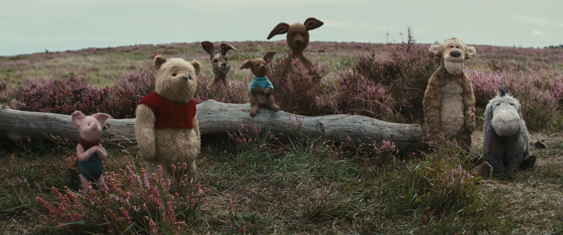 Christopher Robin (2018) - Animation Screencaps.com
