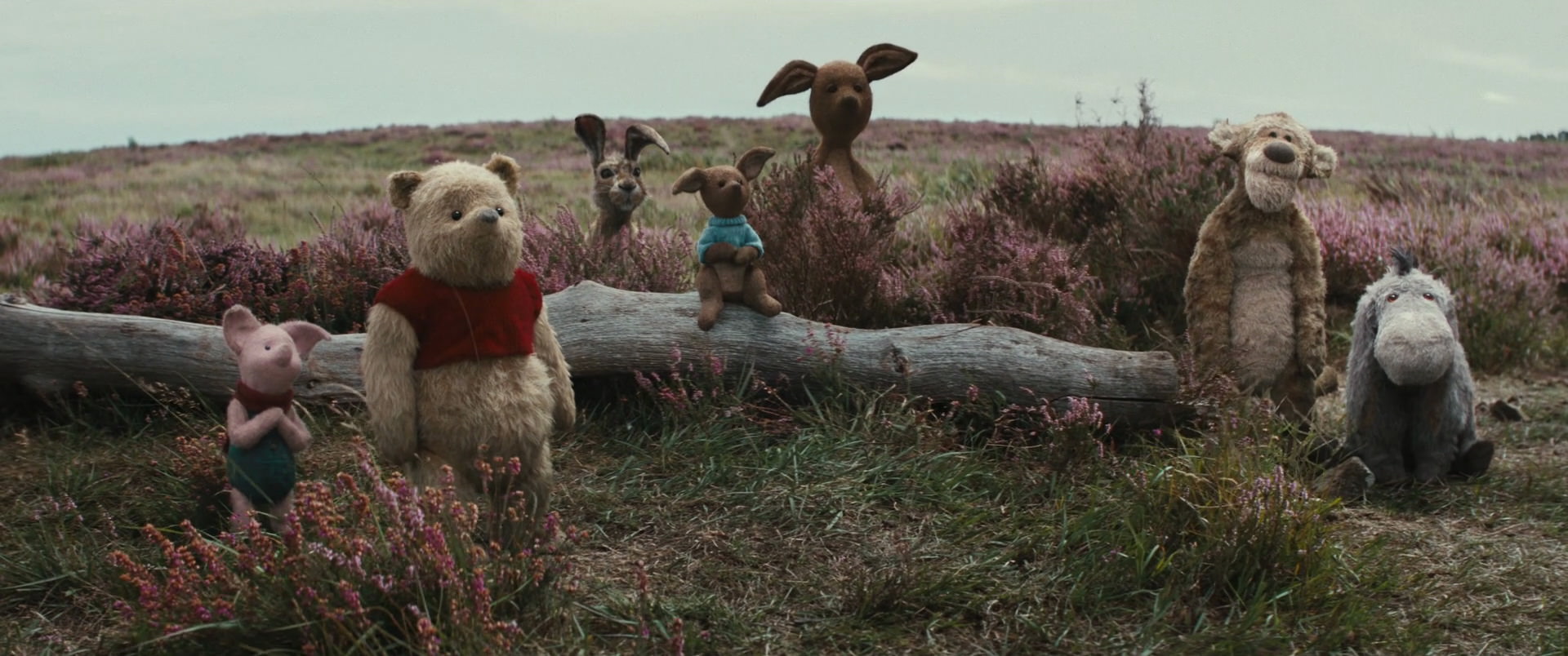 Christopher Robin (2018) - Animation Screencaps.com