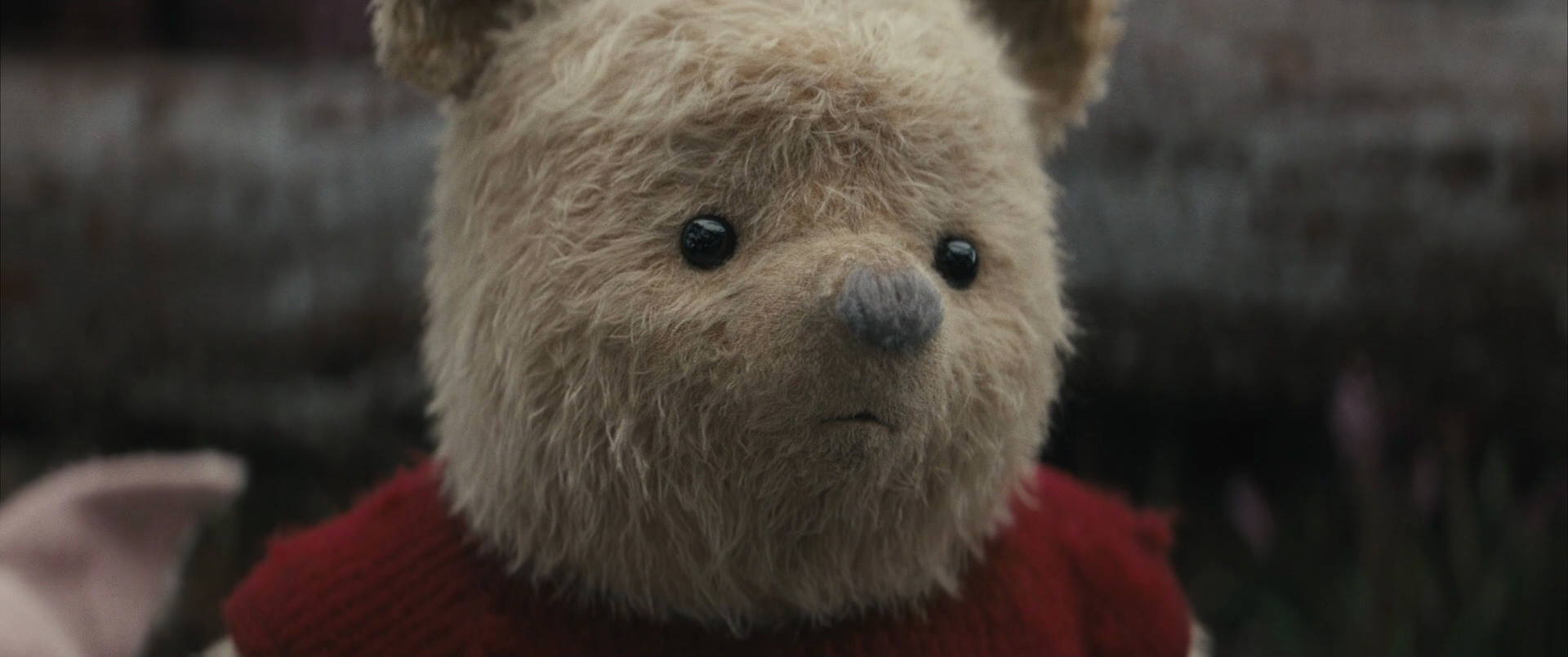 Christopher Robin (2018) - Animation Screencaps.com