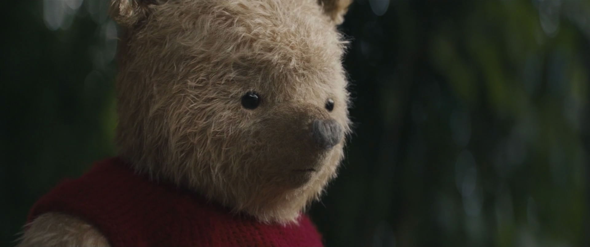 Christopher Robin (2018) - Animation Screencaps.com