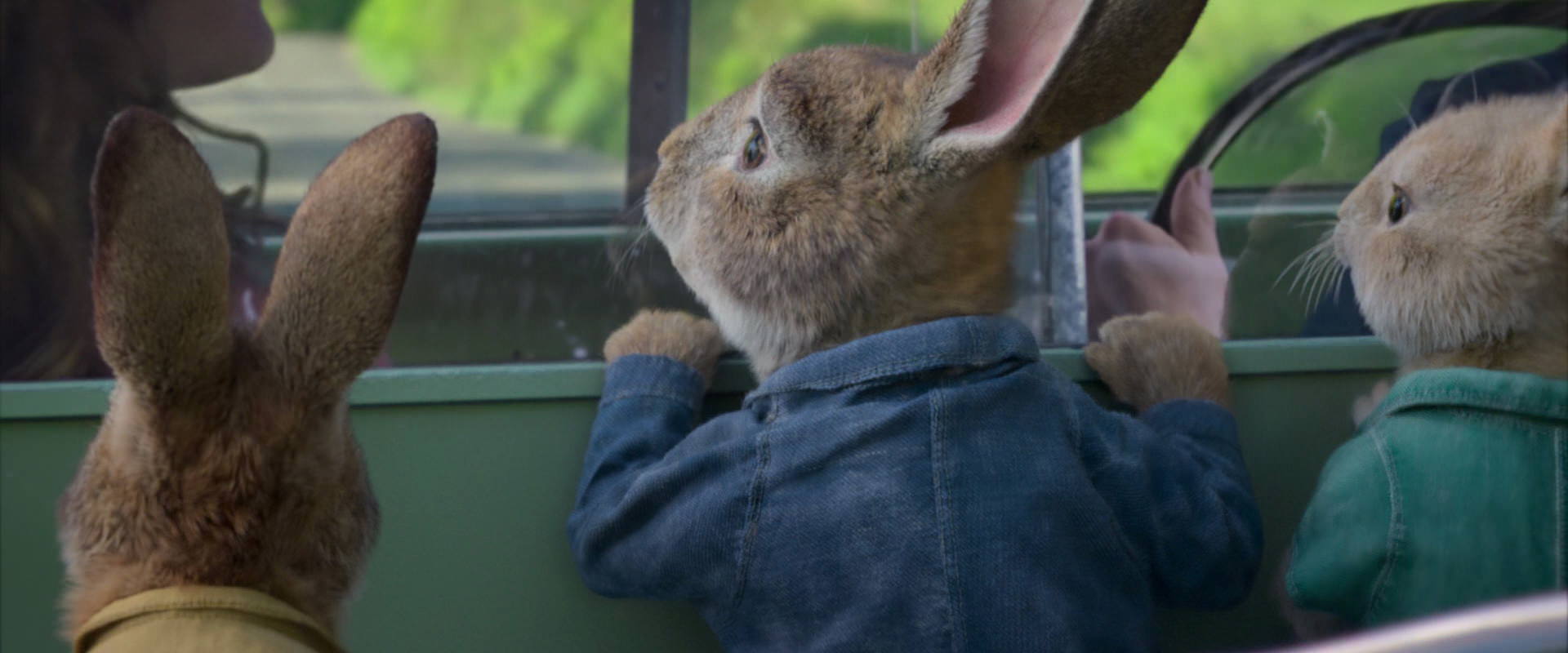 Peter Rabbit (2018) - Animation Screencaps.com