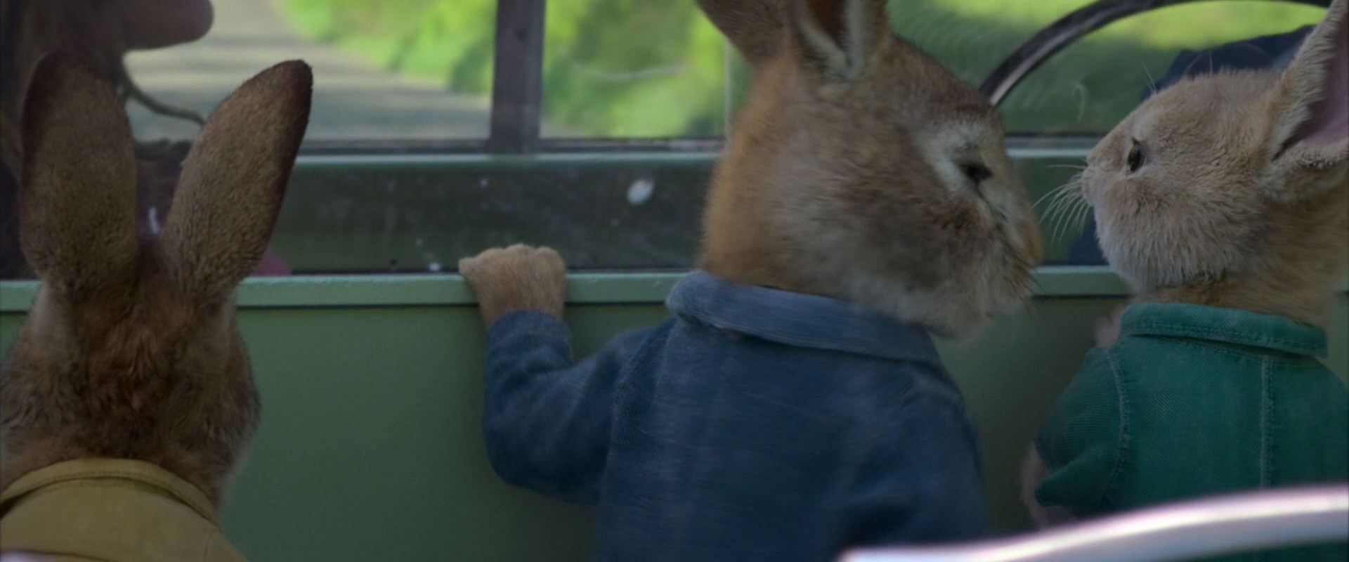Peter Rabbit (2018) - Animation Screencaps.com