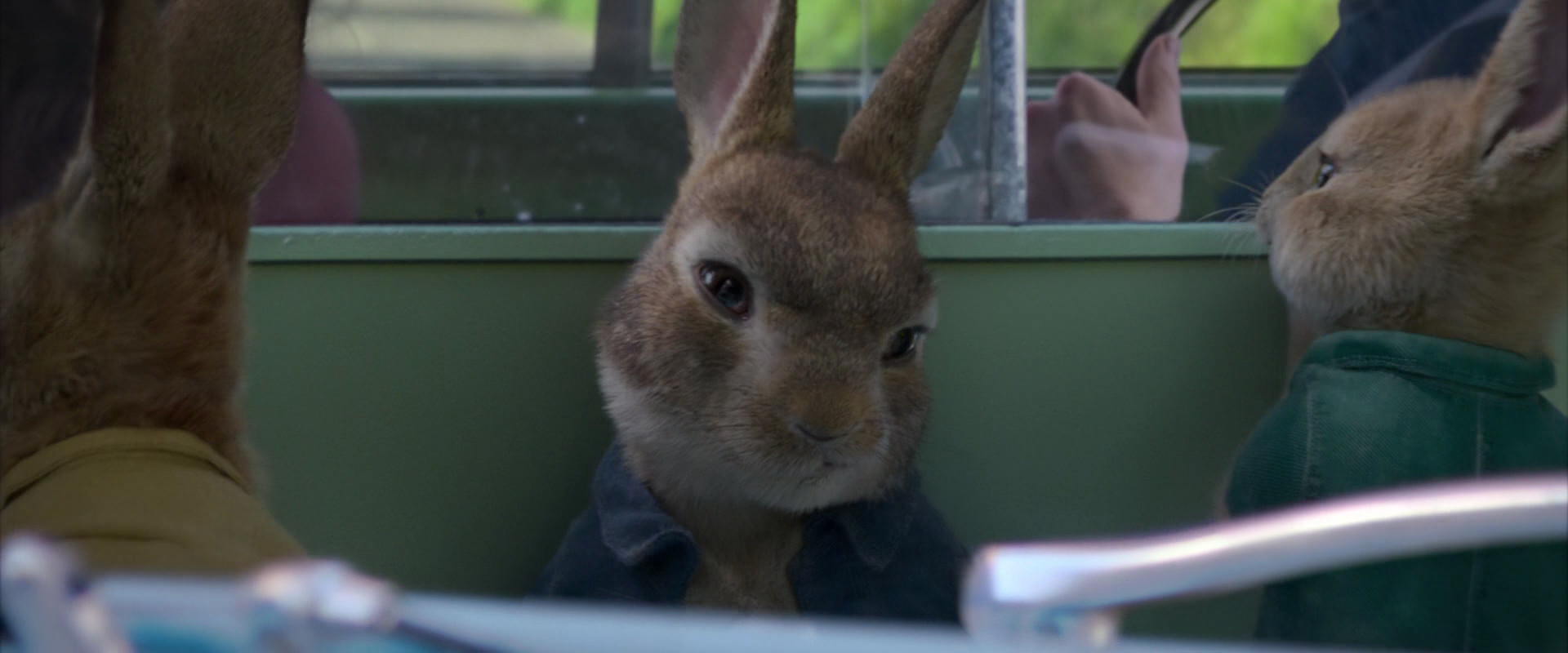 Peter Rabbit (2018) - Animation Screencaps.com