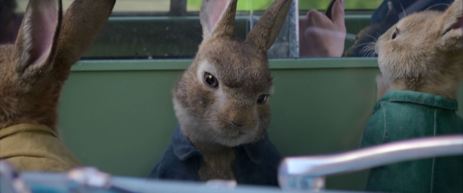 Peter Rabbit (2018) - Animation Screencaps.com