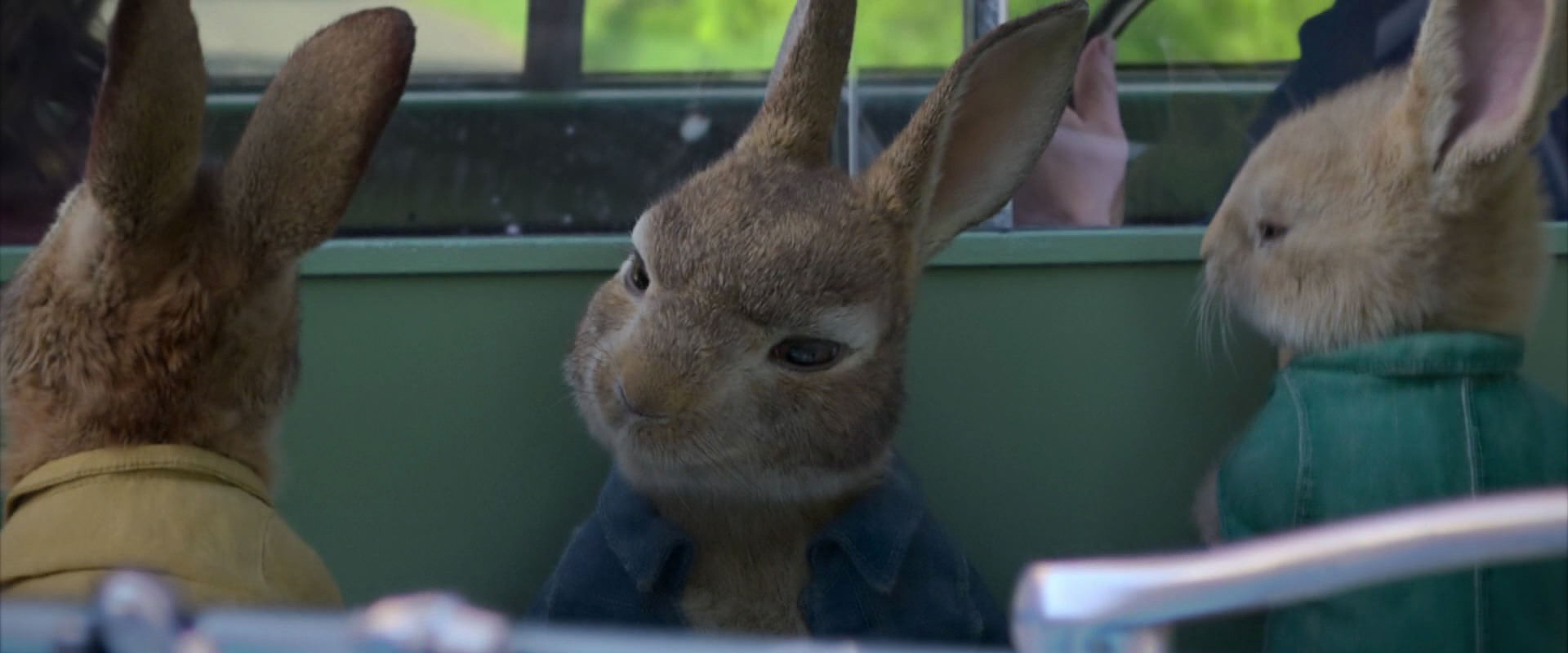 Peter Rabbit (2018) - Animation Screencaps.com