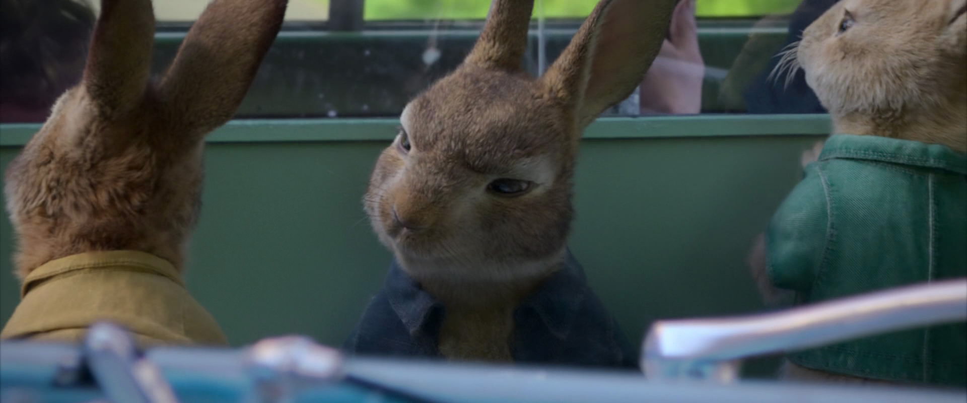 Peter Rabbit (2018) - Animation Screencaps.com
