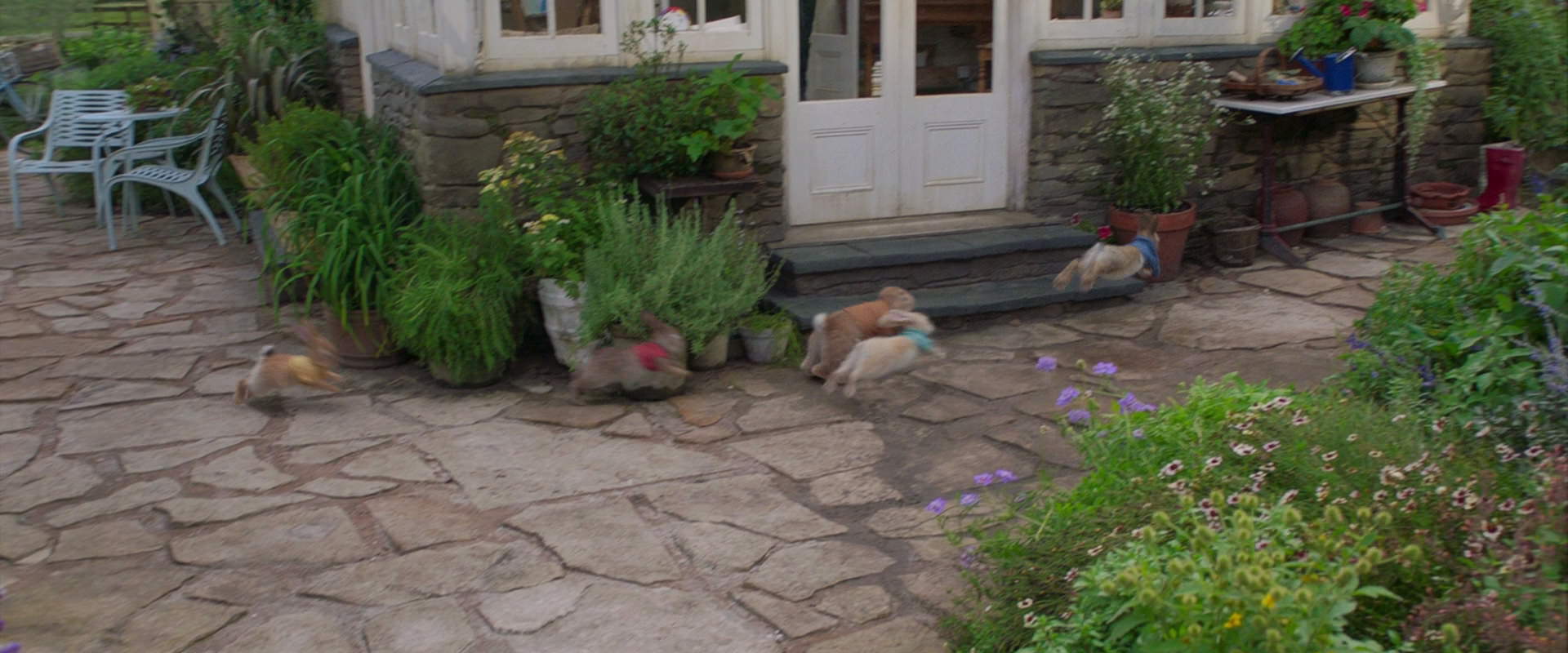 Peter Rabbit (2018) - Animation Screencaps.com