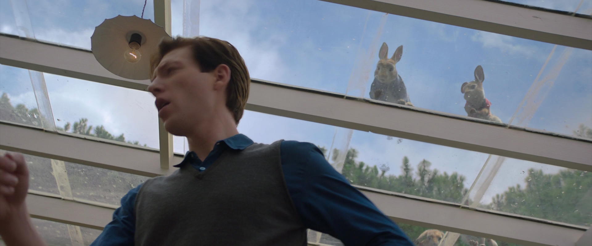 Peter Rabbit (2018) - Animation Screencaps.com