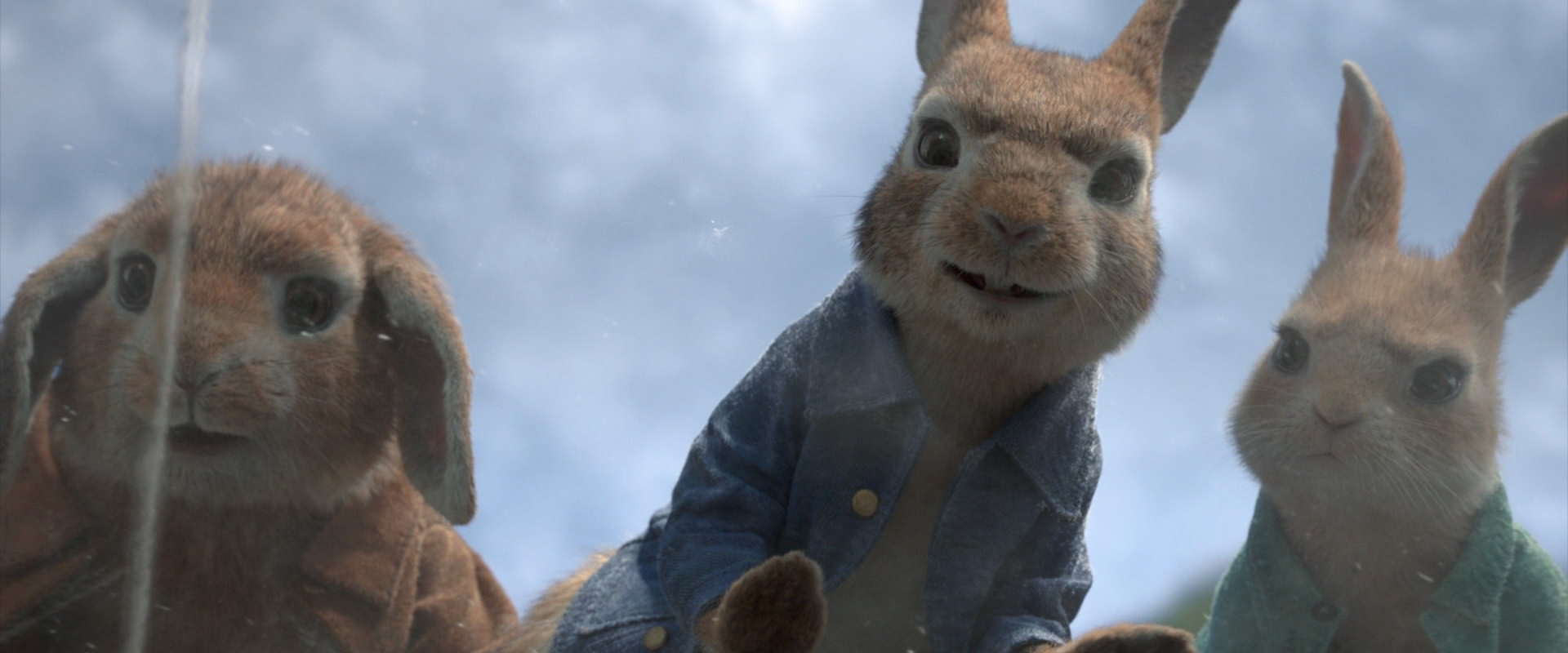 Peter Rabbit (2018) - Animation Screencaps.com