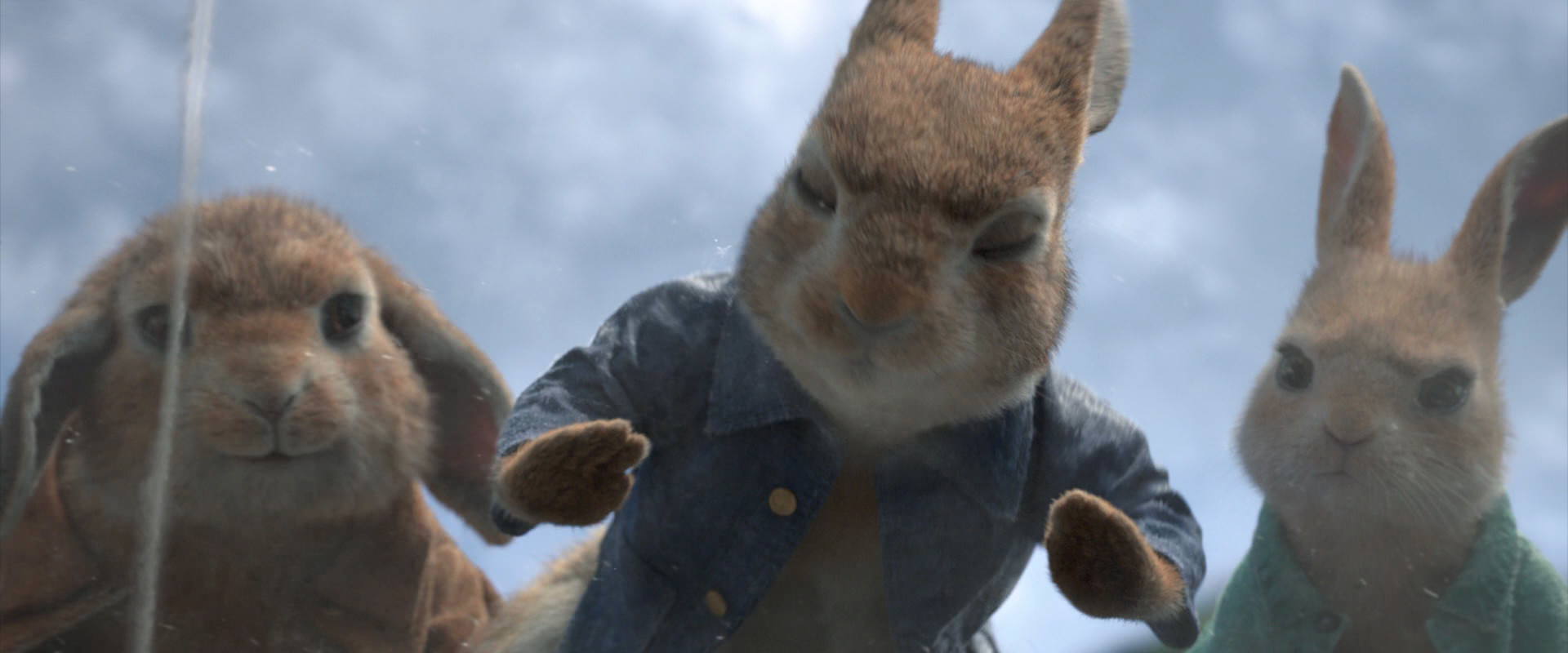 Peter Rabbit (2018) - Animation Screencaps.com