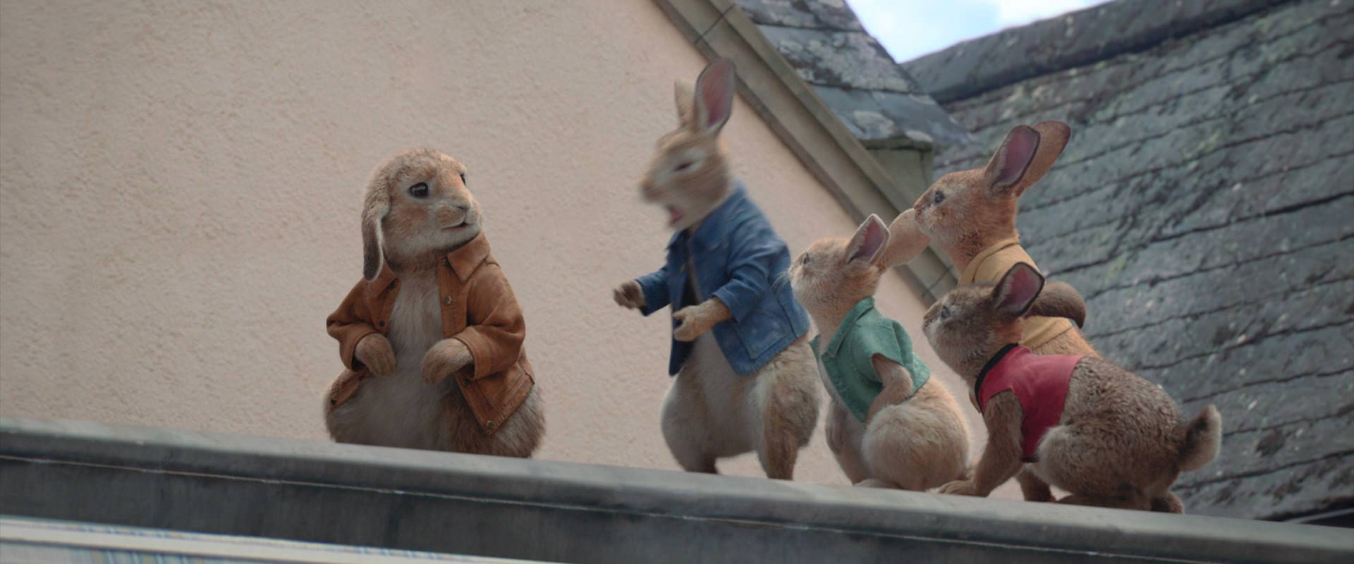 Peter Rabbit (2018) - Animation Screencaps.com