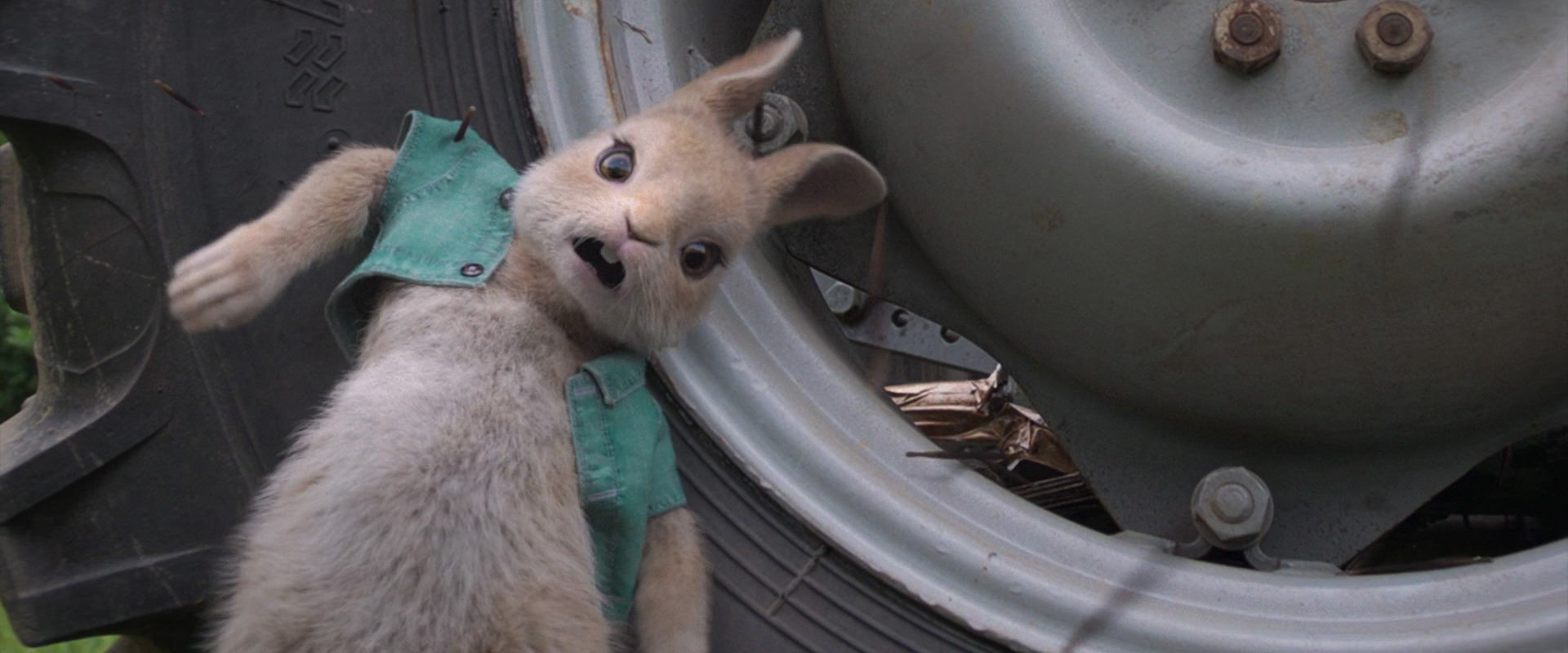 Peter Rabbit (2018) - Animation Screencaps.com