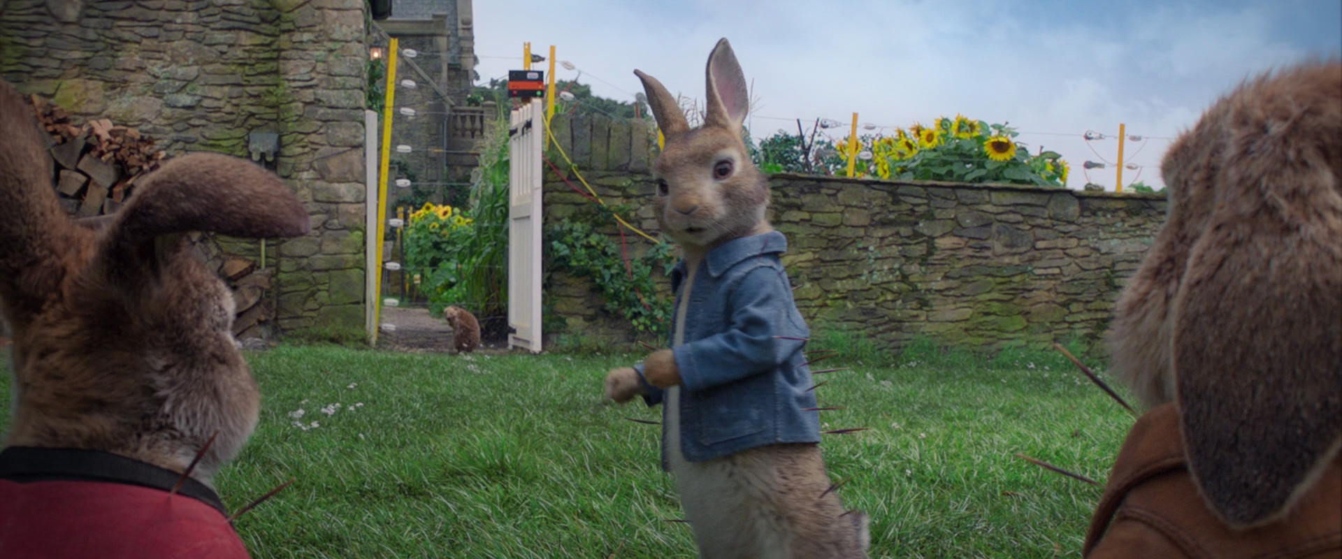 Peter Rabbit (2018) - Animation Screencaps.com