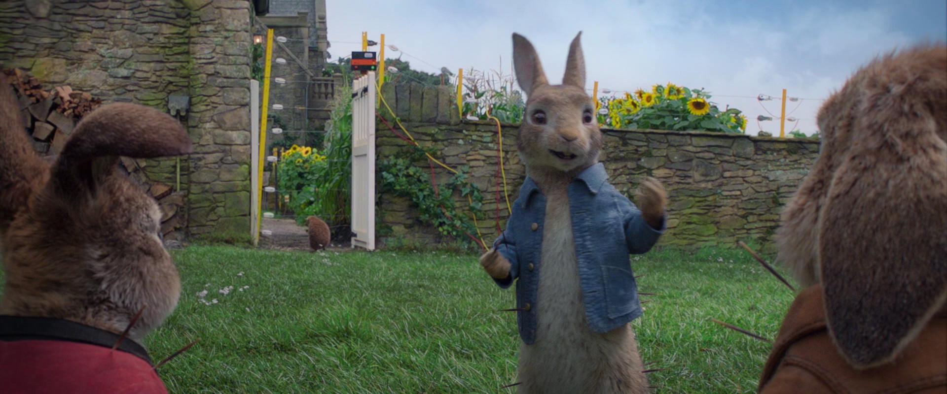 Peter Rabbit (2018) - Animation Screencaps.com