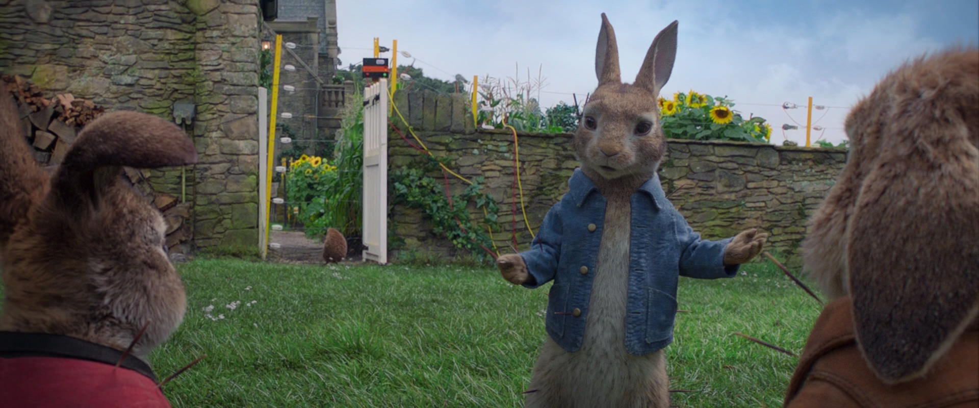 Peter Rabbit (2018) - Animation Screencaps.com