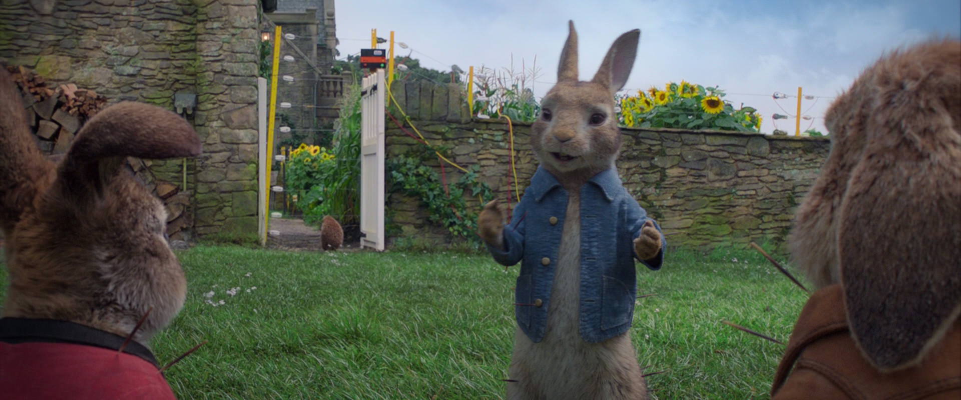 Peter Rabbit (2018) - Animation Screencaps.com