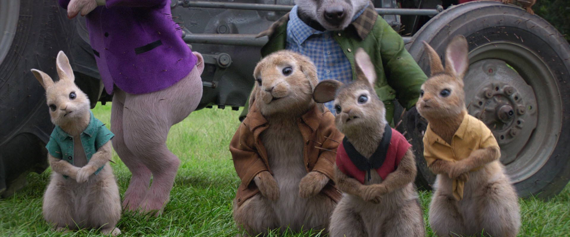 Peter Rabbit (2018) - Animation Screencaps.com