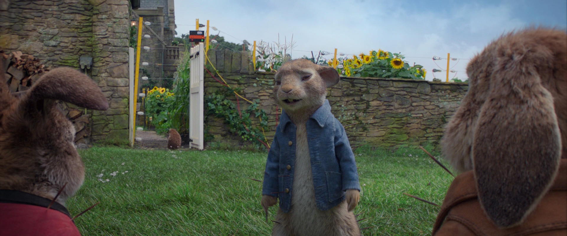 Peter Rabbit (2018) - Animation Screencaps.com