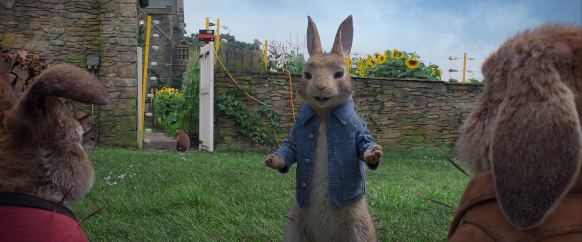 Peter Rabbit (2018) - Animation Screencaps.com