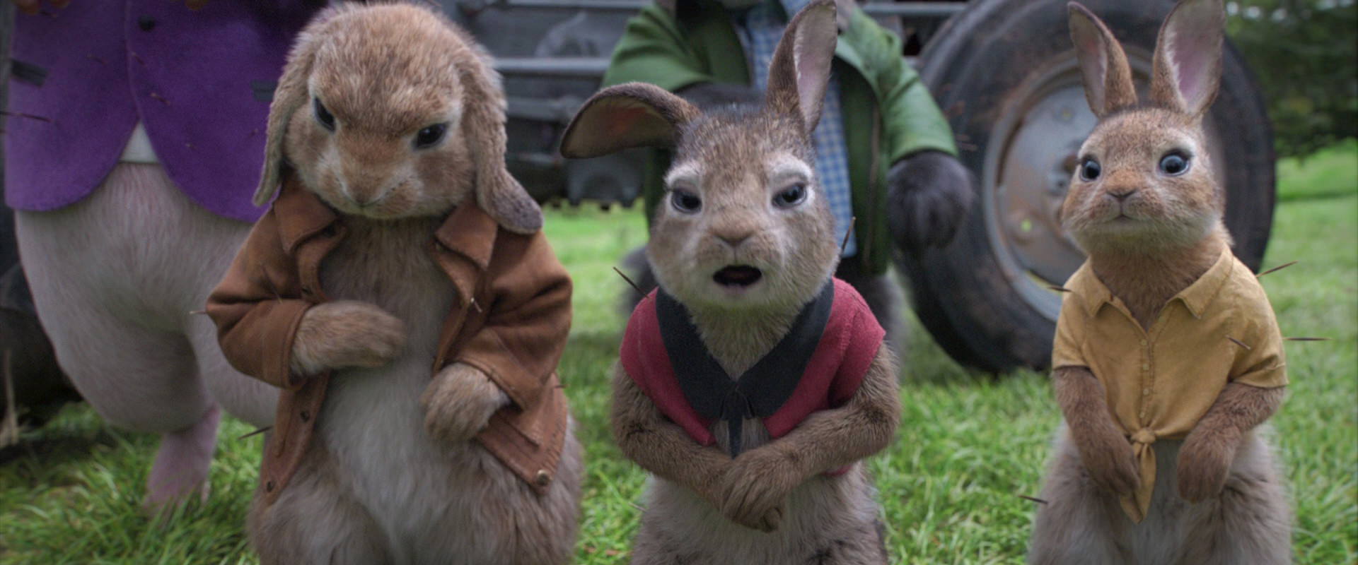 Peter Rabbit (2018) - Animation Screencaps.com