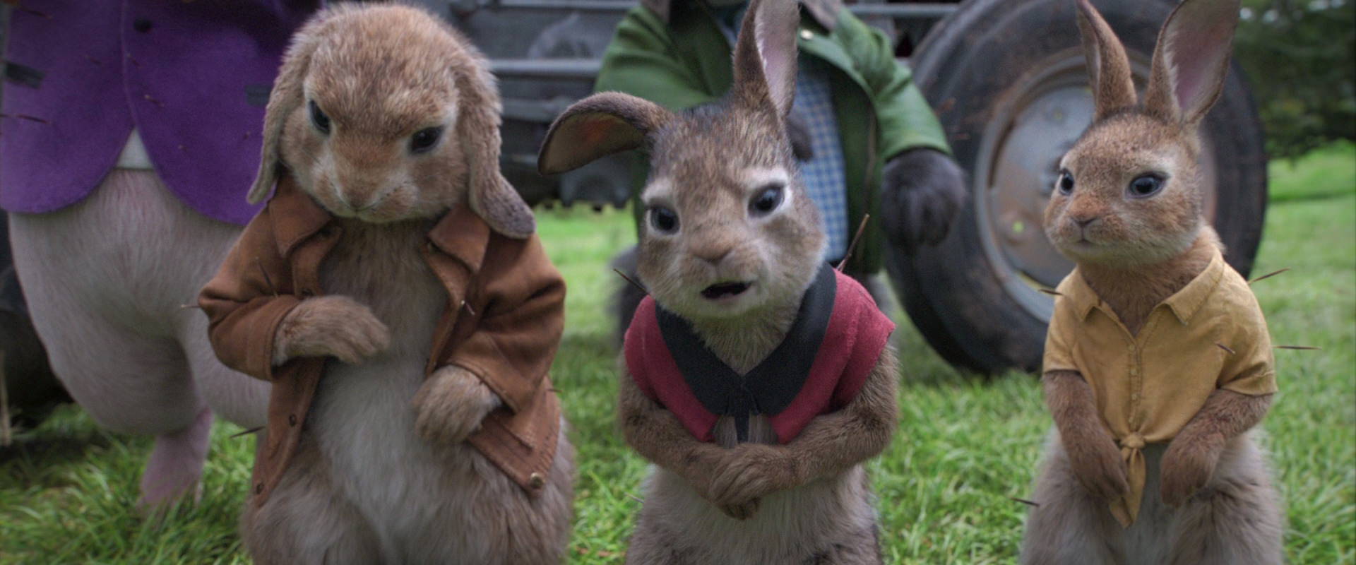 Peter Rabbit (2018) - Animation Screencaps.com